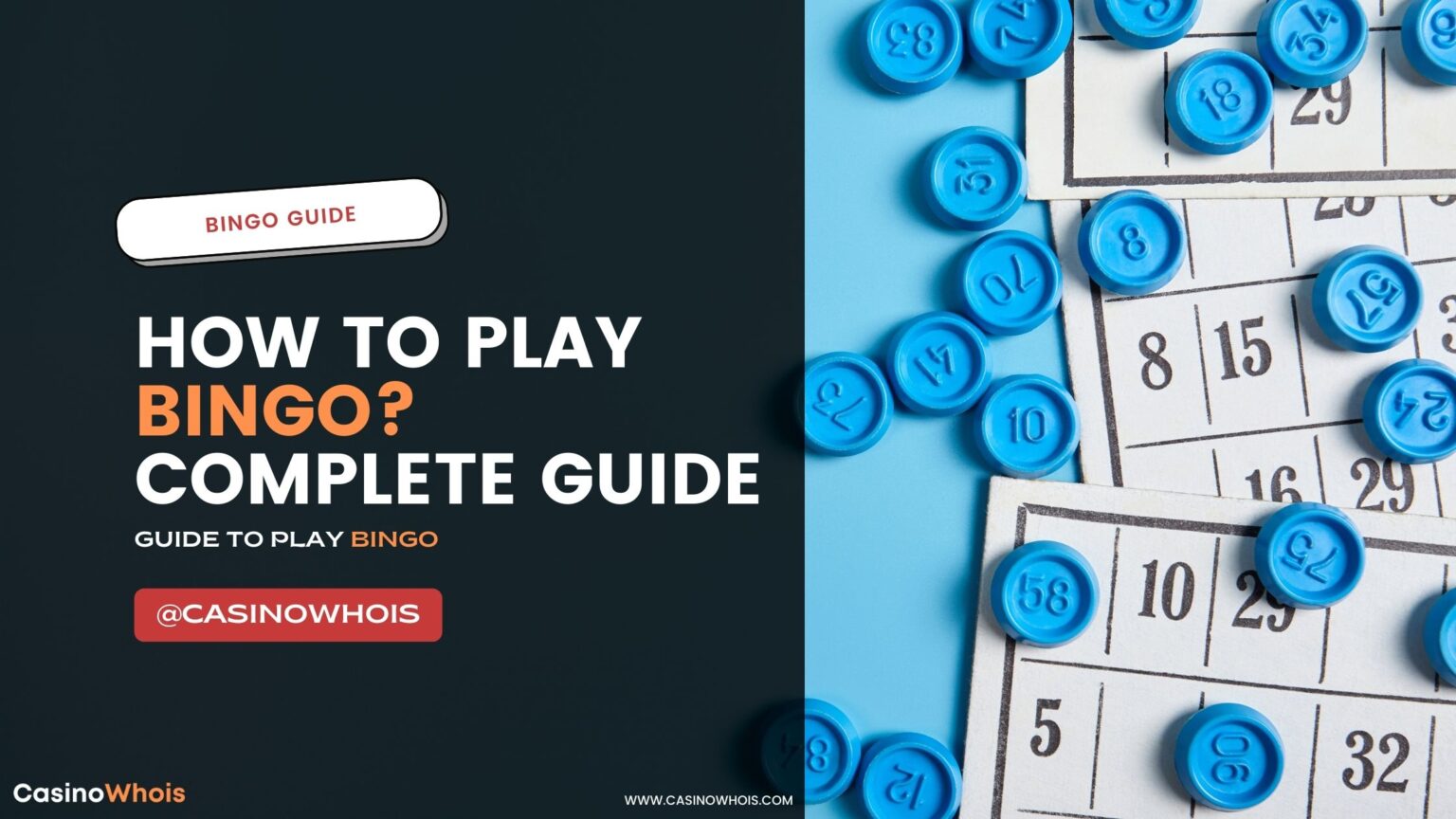 How to Play Bingo Game | Bingo Rules & Tips Tricks to win